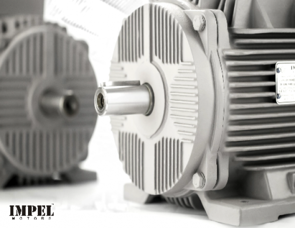 Energy Efficient - General Purpose Cast Iron Motor